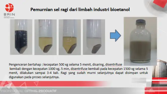 “Mau Awet Muda dan Sehat? Limbah Bioetanol Bisa Jadi Rahasianya ...